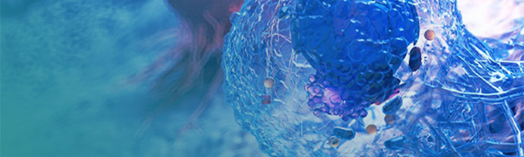 Hansoh Pharma | Continuous innovation for better life