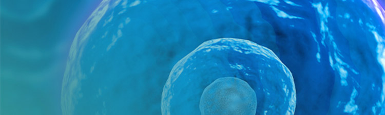 Hansoh Pharma | Continuous innovation for better life